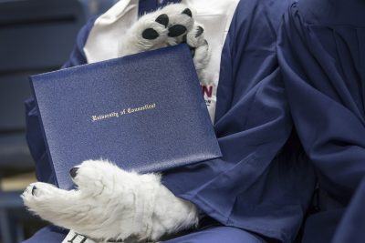 Steps To Graduation | The Graduate School